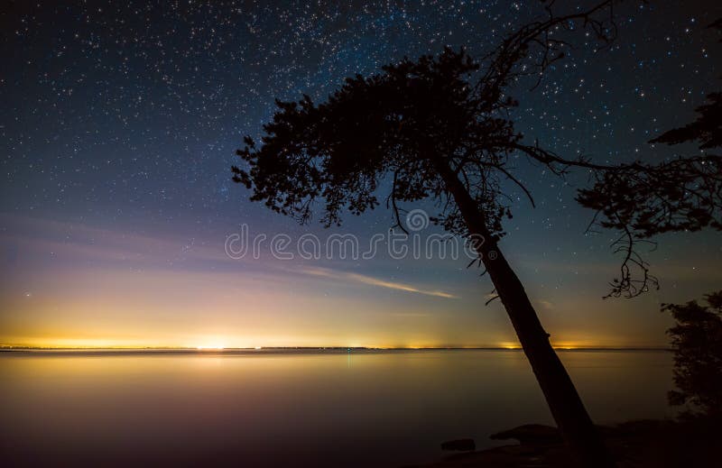 Tree with Stars on Coast with Distant Lights Stock Photo - Image of ...