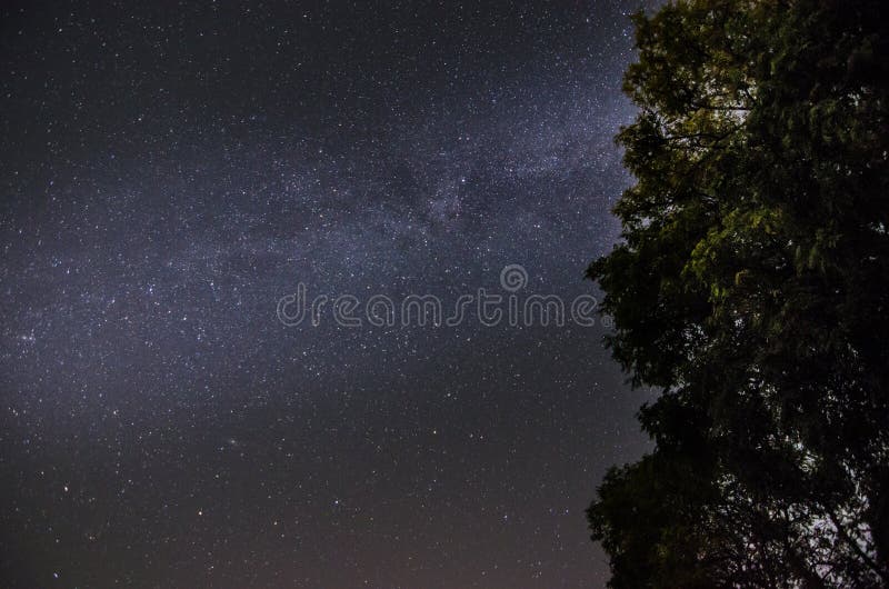 Tree and stars in the sky stock image. Image of heaven - 139005115
