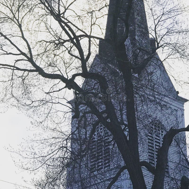 Tree and Steeple stock photo. Image of jersey, tree, steeple - 88872592