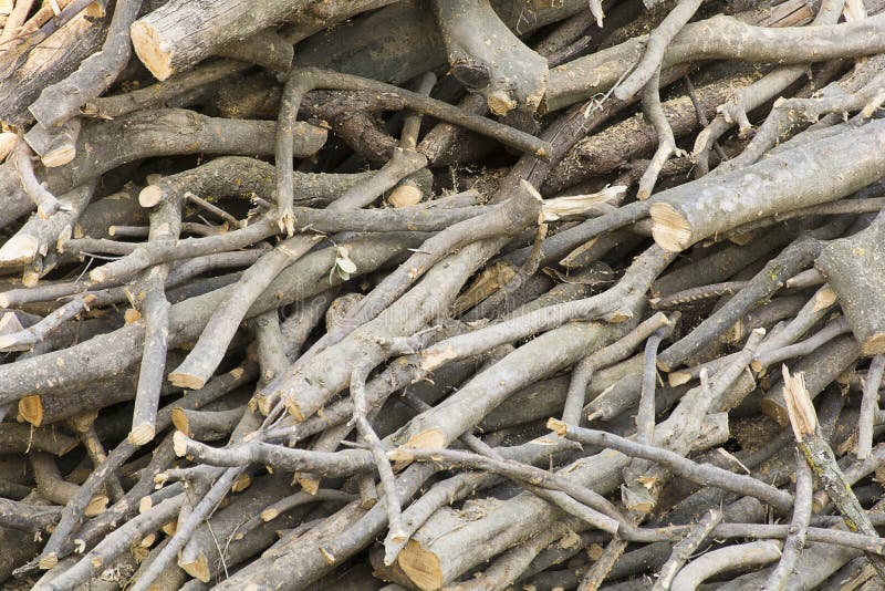Tree Sticks Background stock photo. Image of lumber, brown - 60666188
