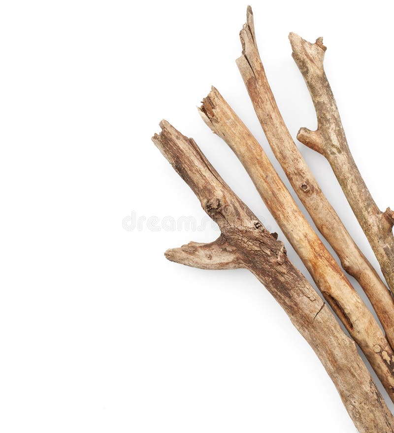 Tree sticks stock image. Image of wood, plant, tree, white - 57207643