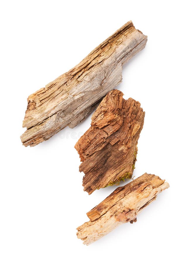 Tree Sticks Isolated on White Background Stock Photo - Image of ...