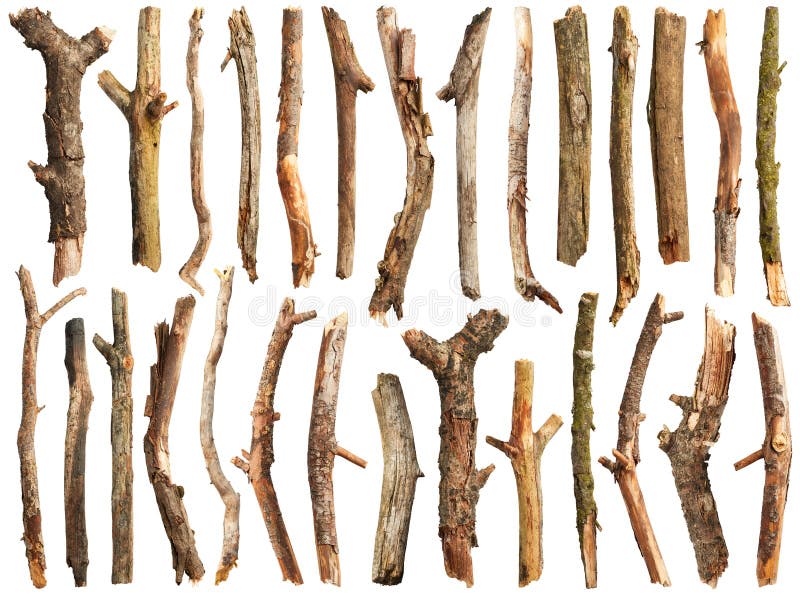 Tree Sticks Isolated on White Background Stock Photo - Image of organic ...