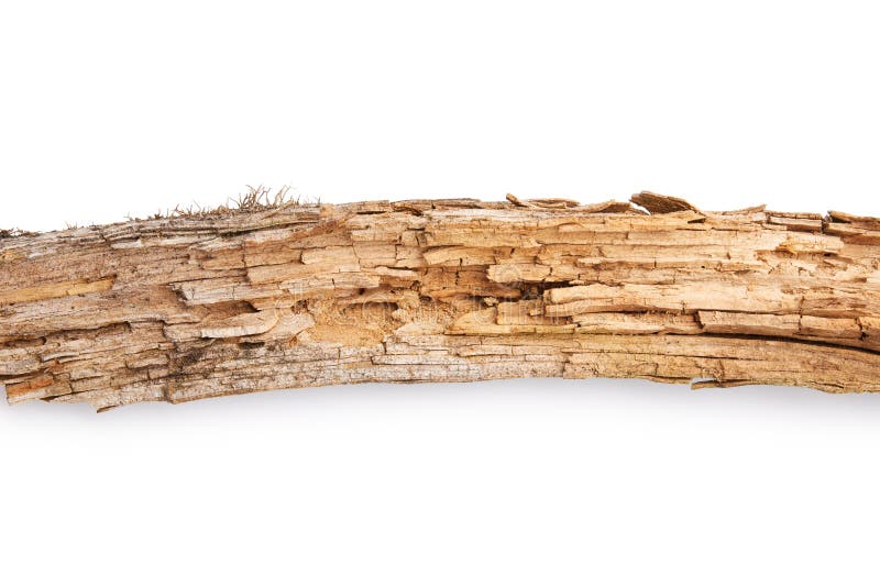Tree sticks stock image. Image of environment, design - 56157877
