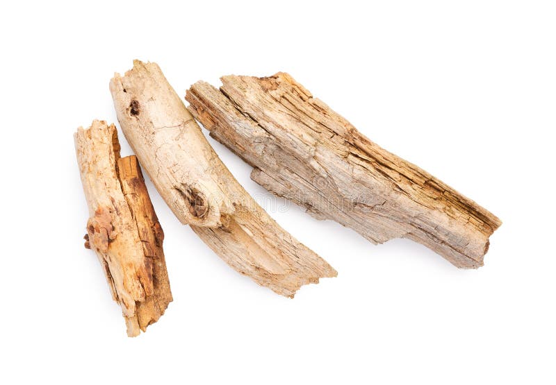 Tree Sticks Isolated on White Stock Image - Image of brown, texture ...