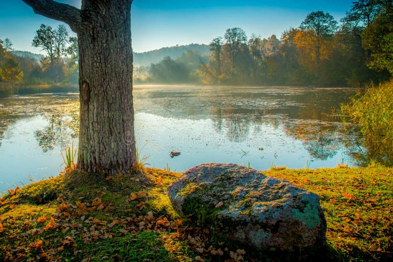 Fall Season, Lake and Forest Stock Image - Image of golden, green ...