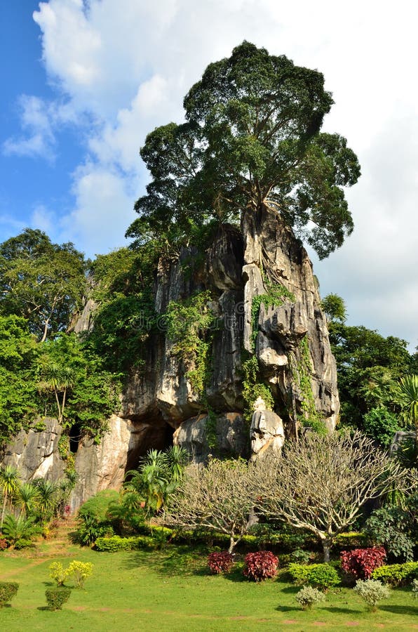 Tree of stone mountain stock image. Image of hiking, cloud - 50118007