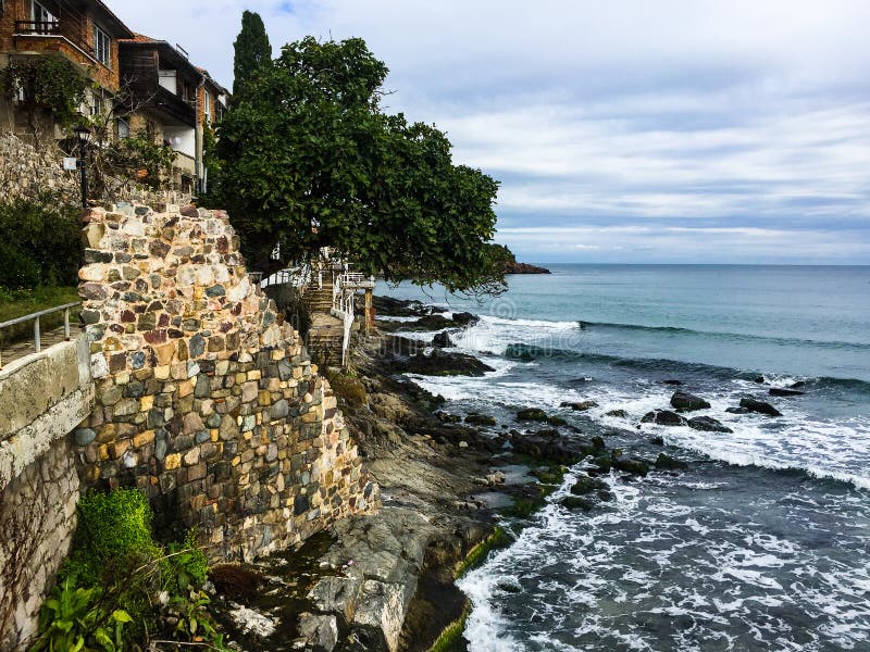 A Tree on the Stone Quay of the Sea Stock Photo - Image of tropical ...