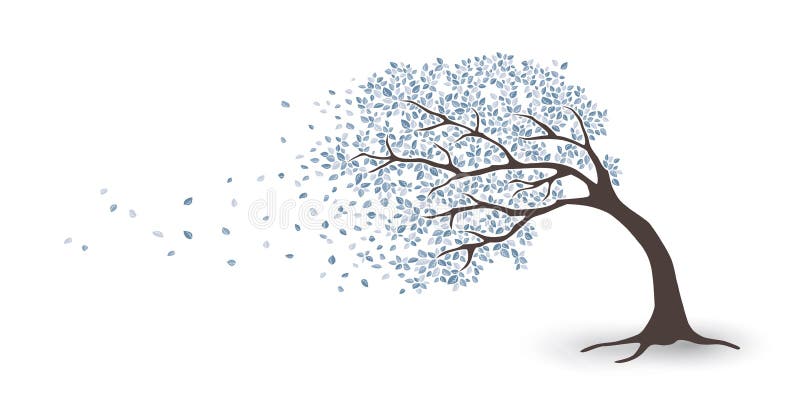 Tree in storm stock vector. Illustration of summer, standing - 50812726