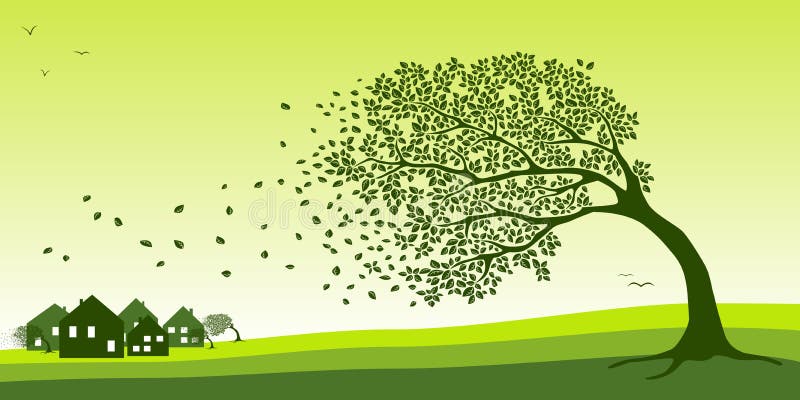 Tree in storm stock vector. Illustration of summer, standing - 50812726