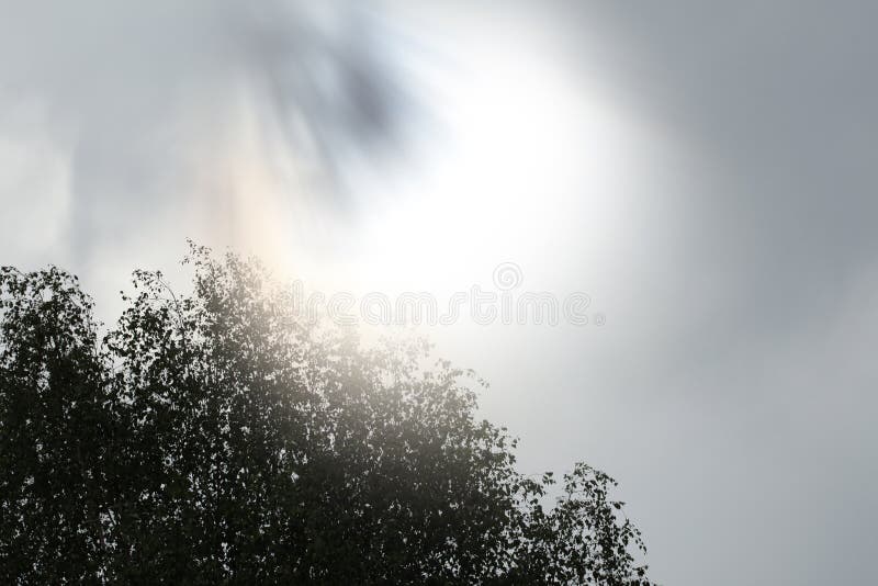 Tree with Stormy Dark Heavy Clouds and Sun Ray on the Background Stock ...