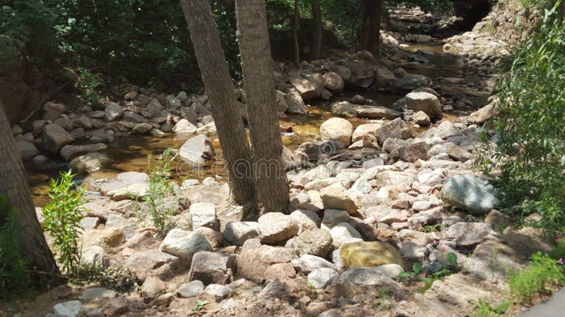 Tree Stream stock image. Image of tree, next, small - 139895933