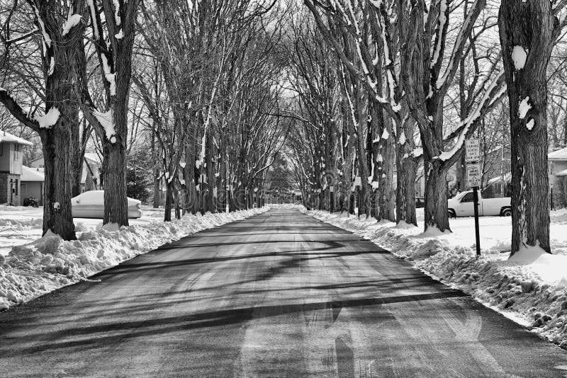 Long perspective road stock photo. Image of natural, path - 29887870