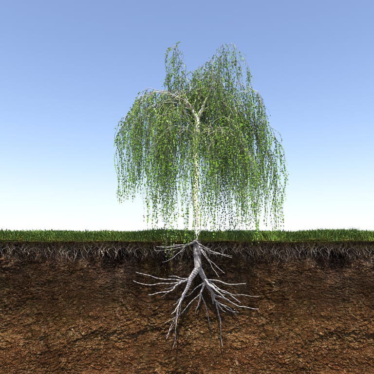 Tree with Strong and Deep Roots, 3d Render Stock Illustration ...