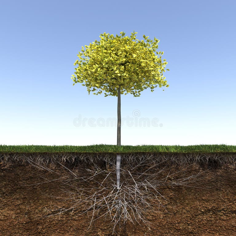 Tree with Strong and Deep Roots, 3d Render Stock Illustration ...