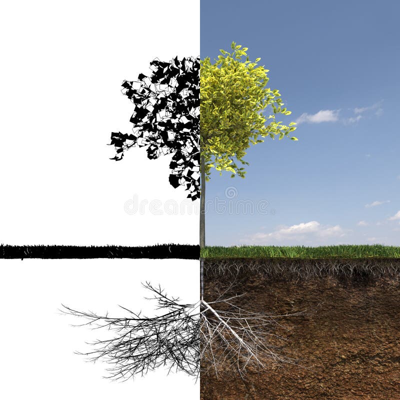 Tree Deep Roots Graphic Stock Illustrations – 79 Tree Deep Roots ...