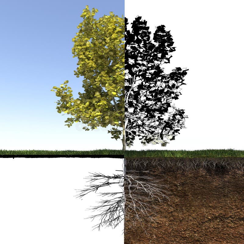 Tree with Strong and Deep Roots, 3d Render Stock Illustration ...