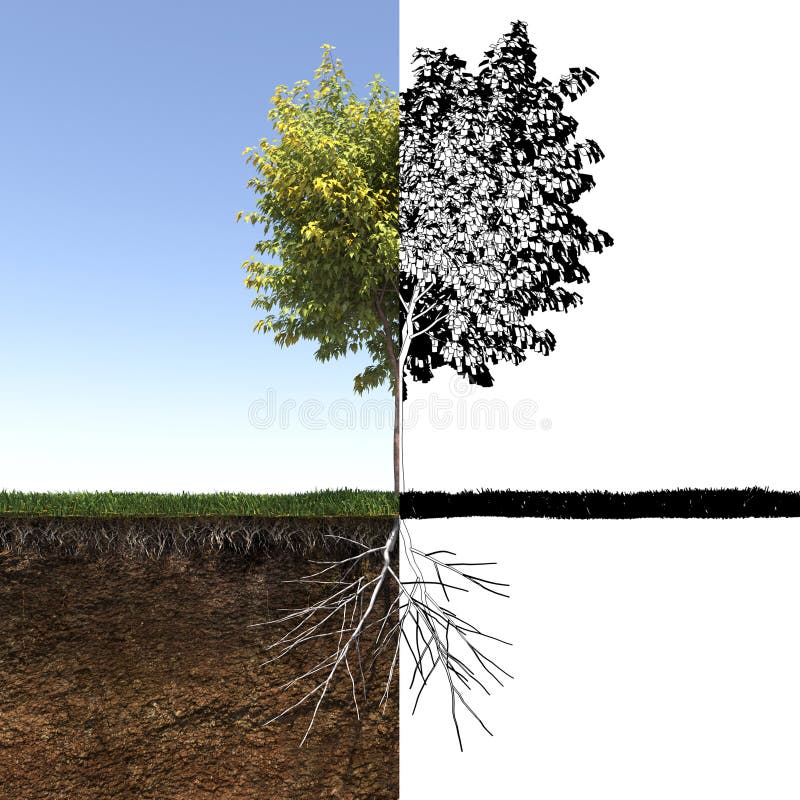 Tree with Strong and Deep Roots, 3d Render Stock Illustration ...