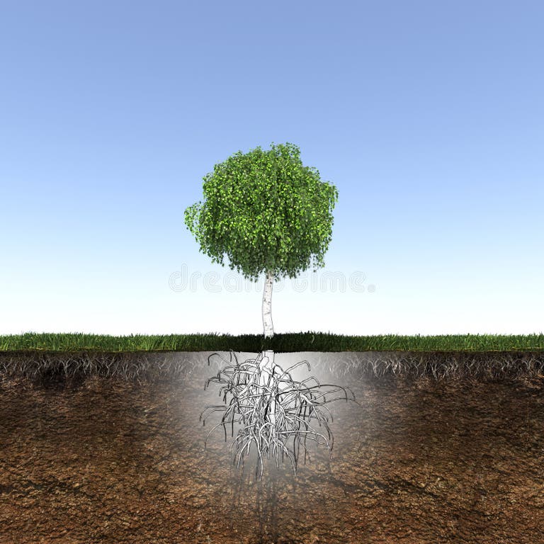 Tree Deep Roots Graphic Stock Illustrations – 79 Tree Deep Roots ...