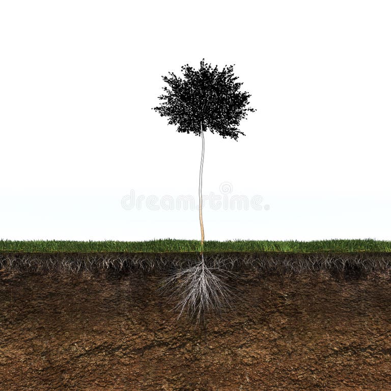 Tree with Strong and Deep Roots, 3d Render Stock Illustration ...