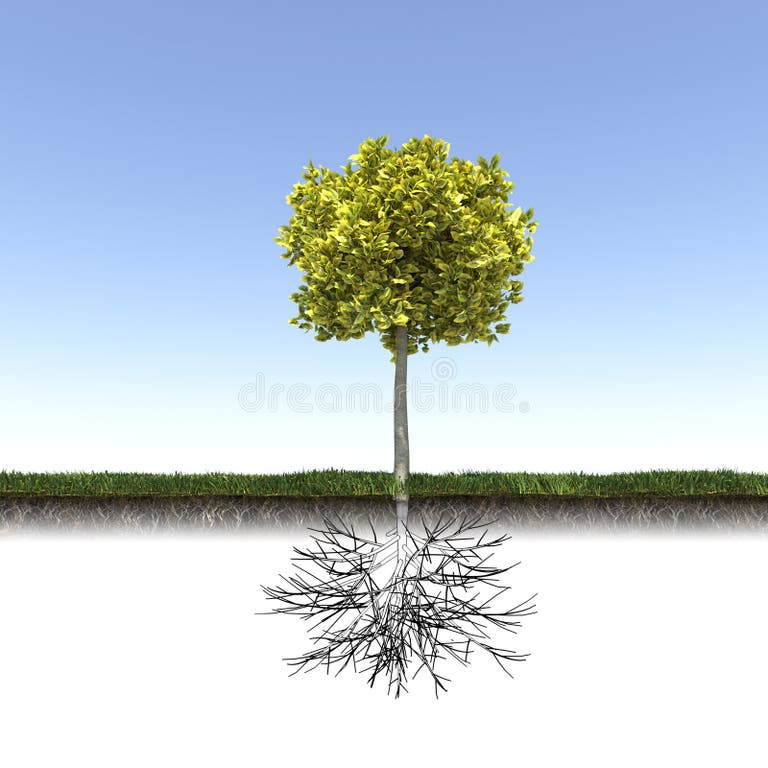 Tree with Strong and Deep Roots, 3d Render Stock Illustration ...