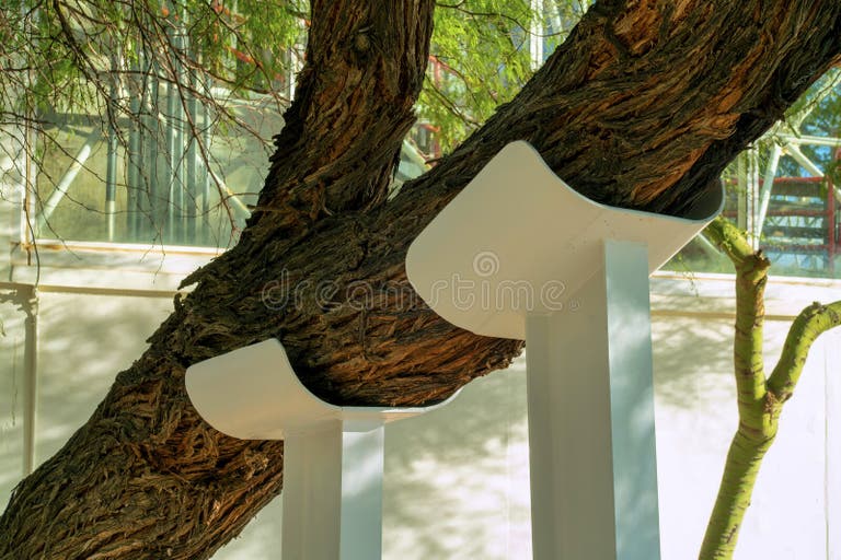 Tree Structural Support with White Metal Girder Beams for Leaning ...