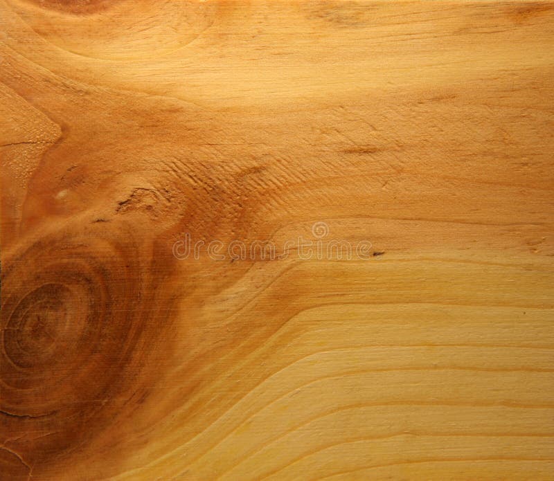 Tree structure stock photo. Image of planks, kiln, joiner - 7688896