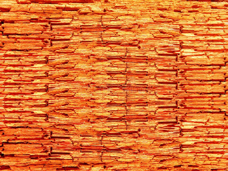 Tree structure stock photo. Image of background, trunk - 9145594