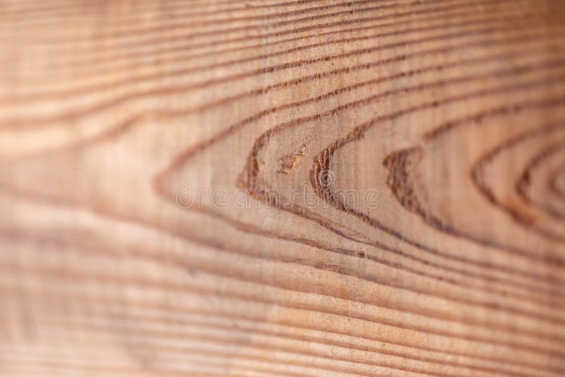 Tree Structure with Stripes Indicating Age Stock Image - Image of ...