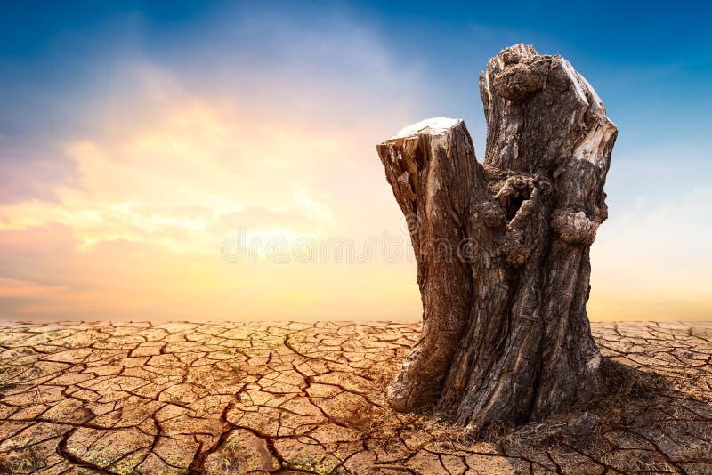 Arid ground, surface stock image. Image of surface, dirty - 161572541