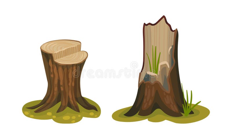 Stub Roots Stock Illustrations – 84 Stub Roots Stock Illustrations ...