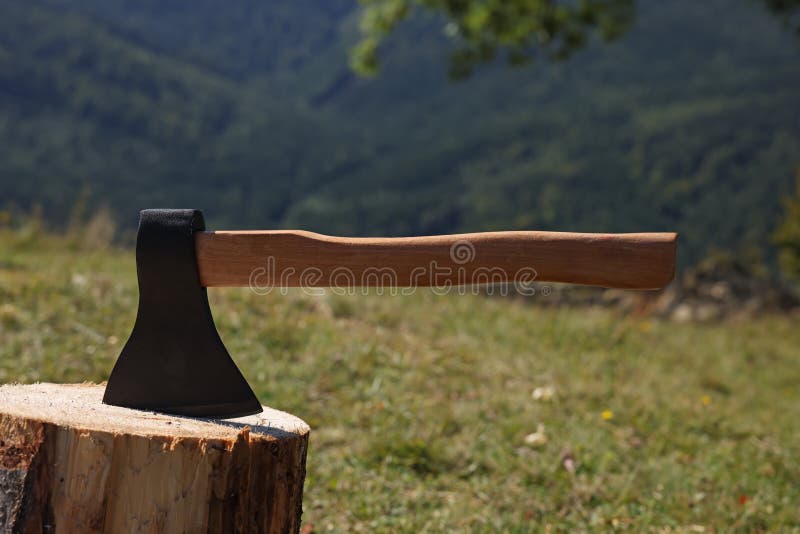 Tree Stump with Axe on Hill. Professional Tool Stock Image - Image of ...