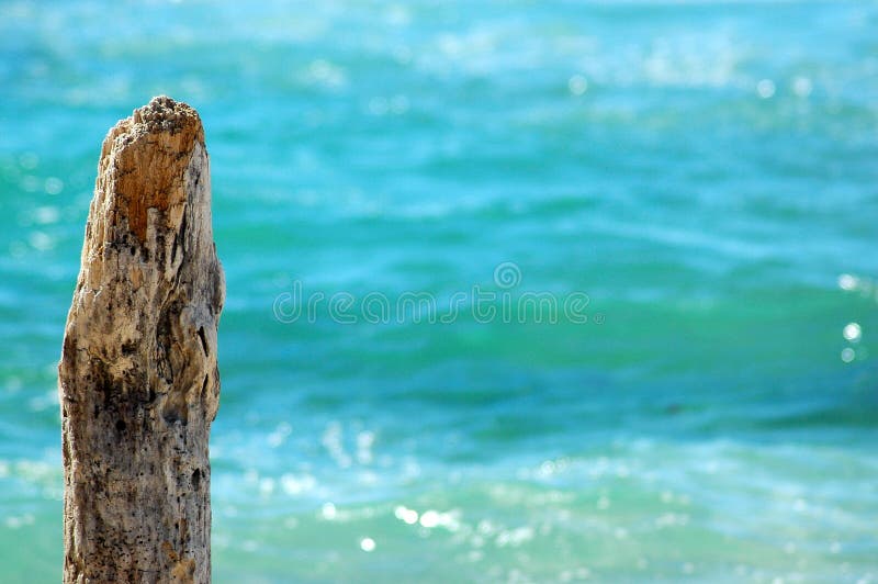 Tree stump and blue sea stock photo. Image of wooden, seaside - 3446992