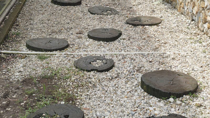 Tree Stump Circular Pathway in City Park Stock Image - Image of ...