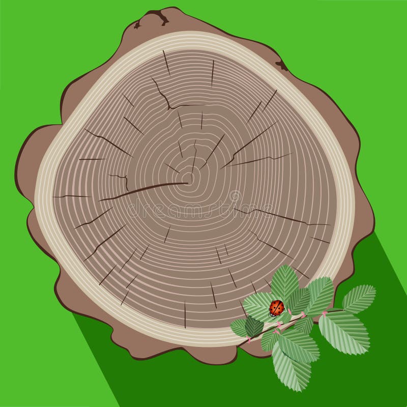 Tree Stump And Green Plant Shoot, Vector Stock Vector - Illustration of ...