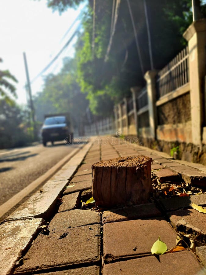 Tree Stump Left on Pedestrian Path beside Main Road Stock Photo - Image ...