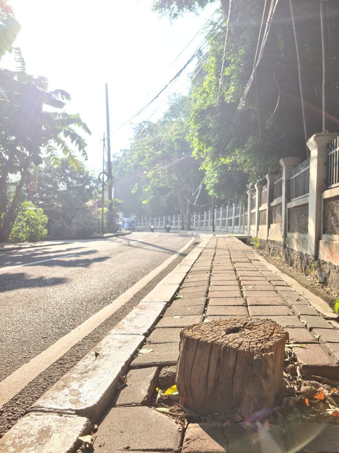 Tree Stump Left on Pedestrian Path beside Main Road Stock Photo - Image ...