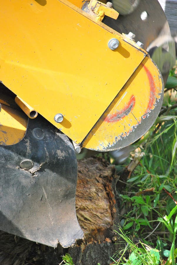 Tree stump machine. stock photo. Image of outdoors, power - 36147586
