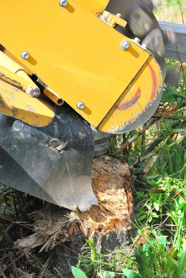 Machine Grinding Tree Stump Stock Image - Image of sawing, grinding ...