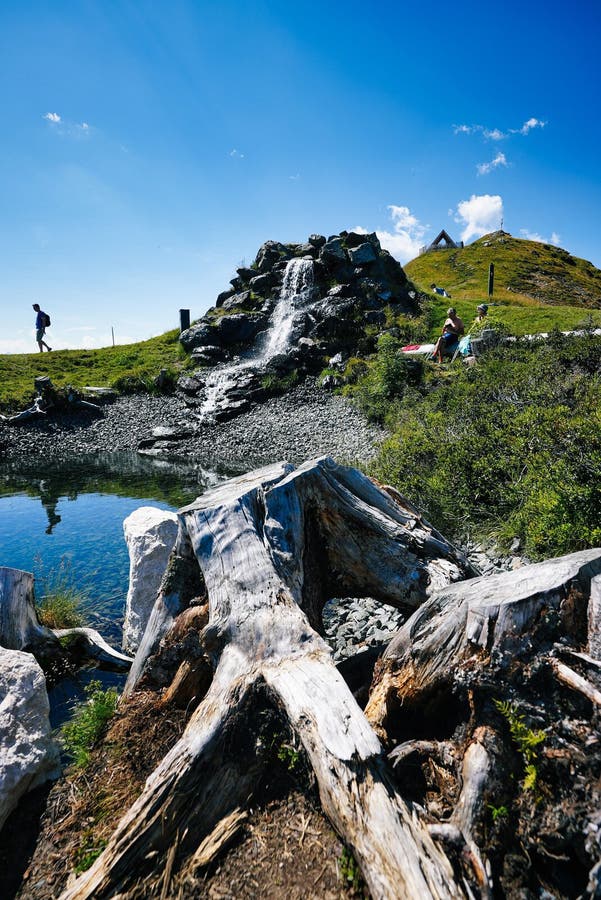 Tree Stump in a Mountain Near a Small Lake Stock Image - Image of tree ...