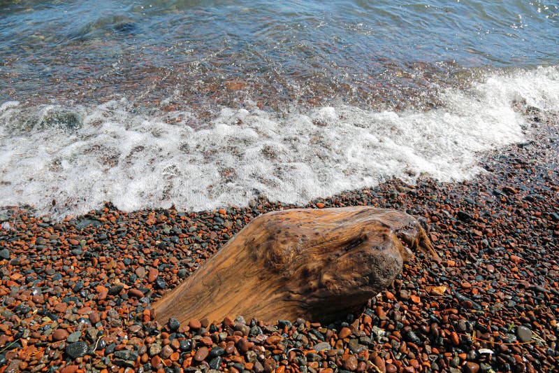 Tree Stump on a Pebble Seashore with the Waves Splashing on the Coast ...