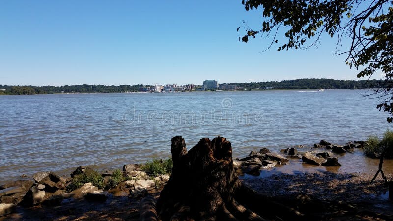 Tree Stump and Rocks and River and National Harbor Stock Photo - Image ...