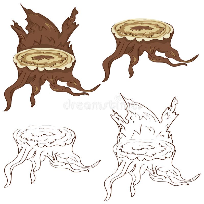 Dead Tree Sketch stock vector. Illustration of bare, color - 54598077