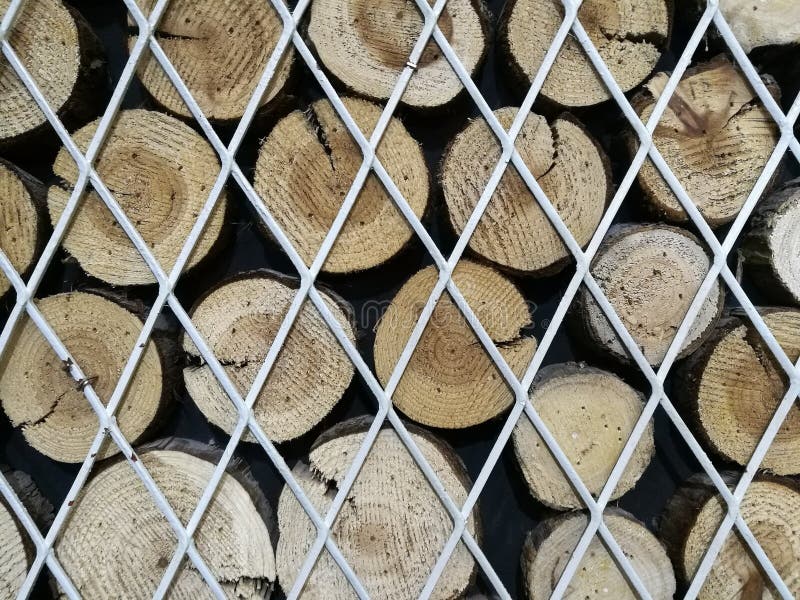 Tree Stump Steel Grid Stock Photos - Free & Royalty-Free Stock Photos ...