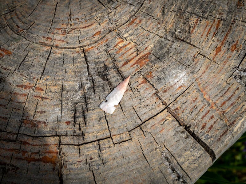 Classic Hand Carved Arrowhead on a Log Stock Image - Image of chipping ...