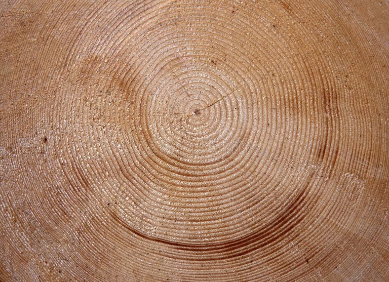 1,152 Cherry Trunk Texture Stock Photos - Free & Royalty-Free Stock ...