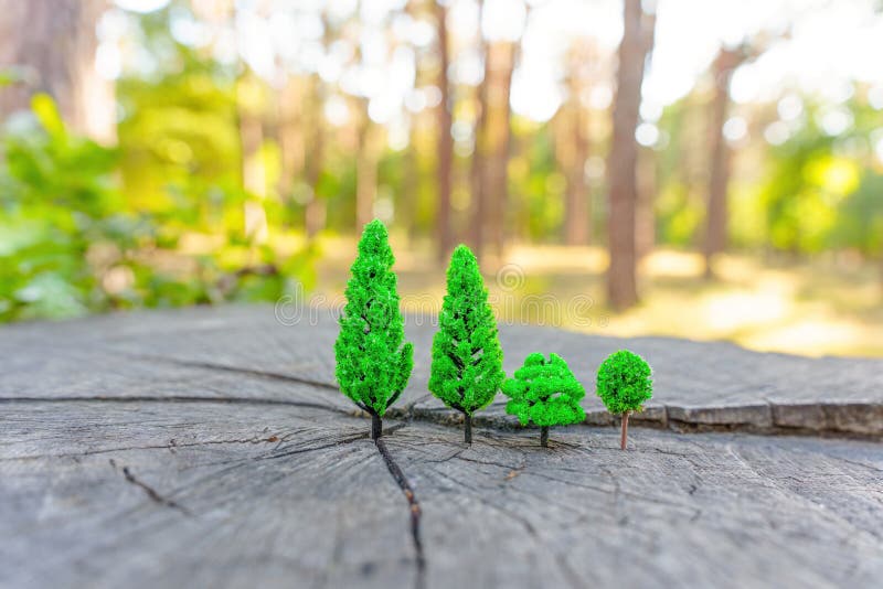 Tree Stump with Toy Trees Outdoors Stock Photo - Image of creative ...