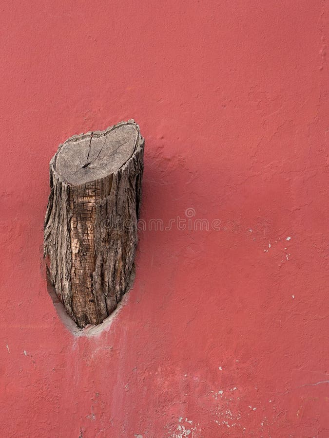 Tree stump on the wall stock image. Image of outdoors - 37056263