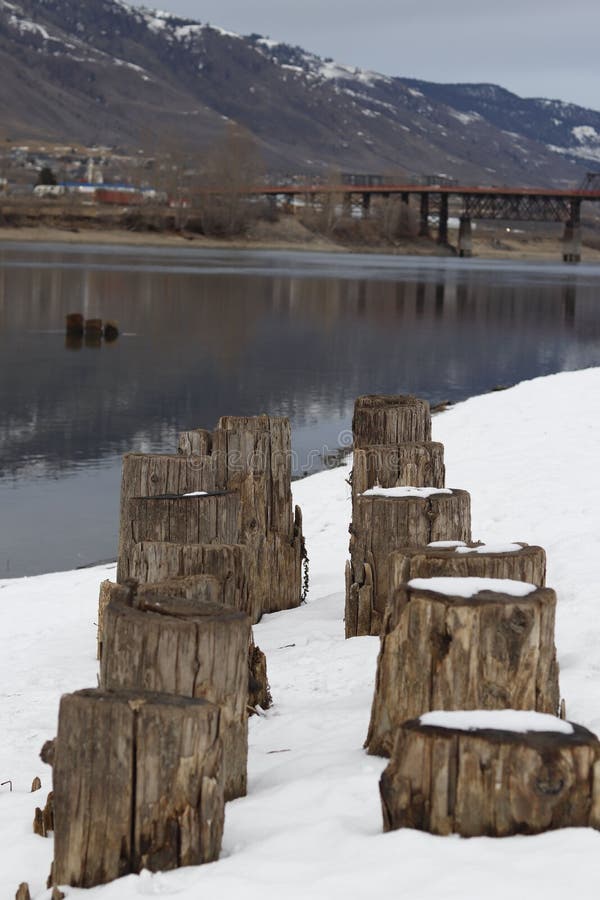 Tree Stumps Near a Frozen Lake Stock Image - Image of park, slope ...