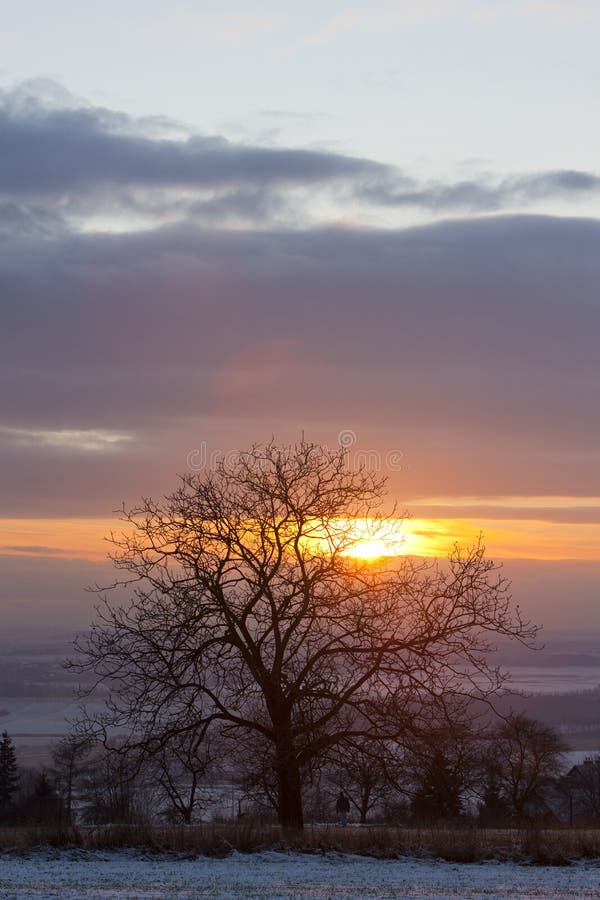 Tree at sunset stock image. Image of abandoned, silhouettes - 154188115